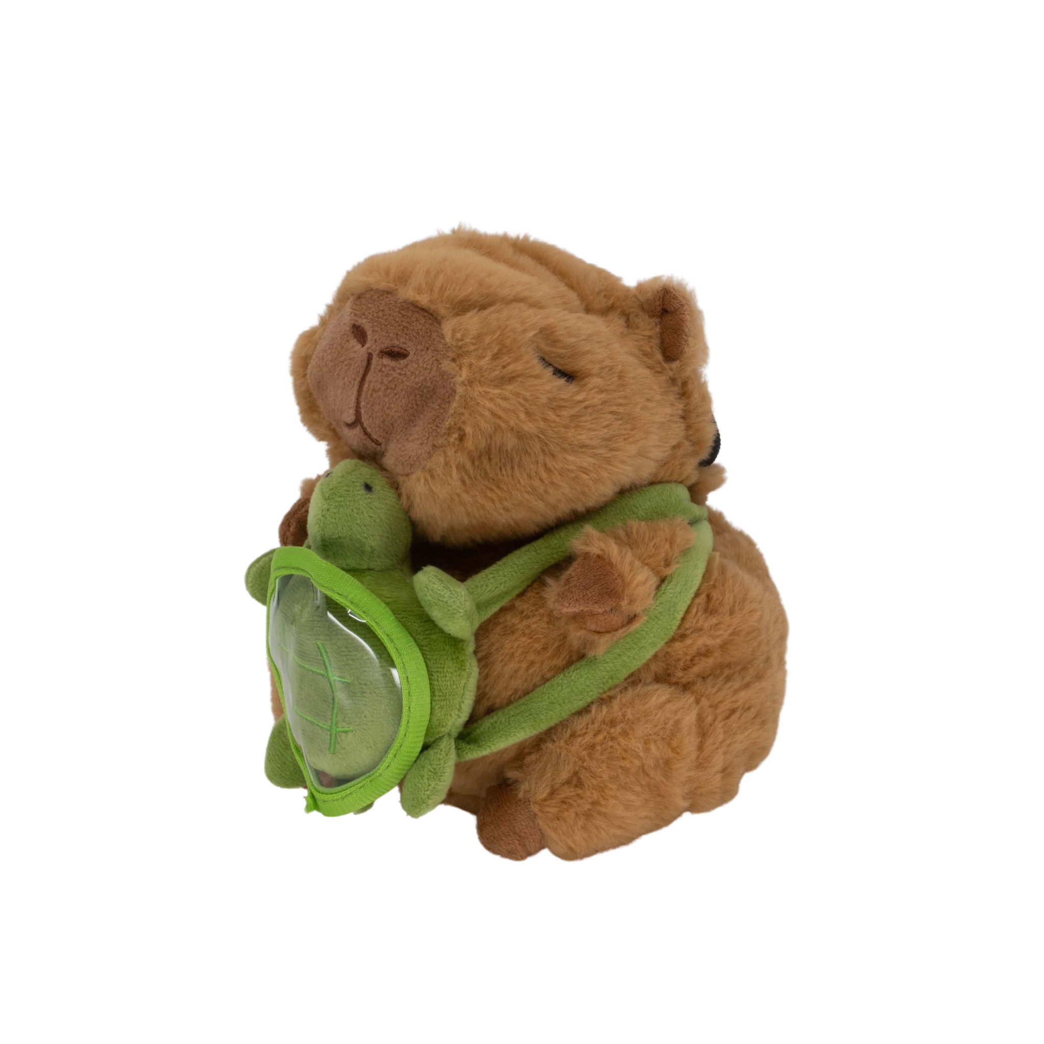 Capybara Turtle Chalk Bag – ChalkmateCo